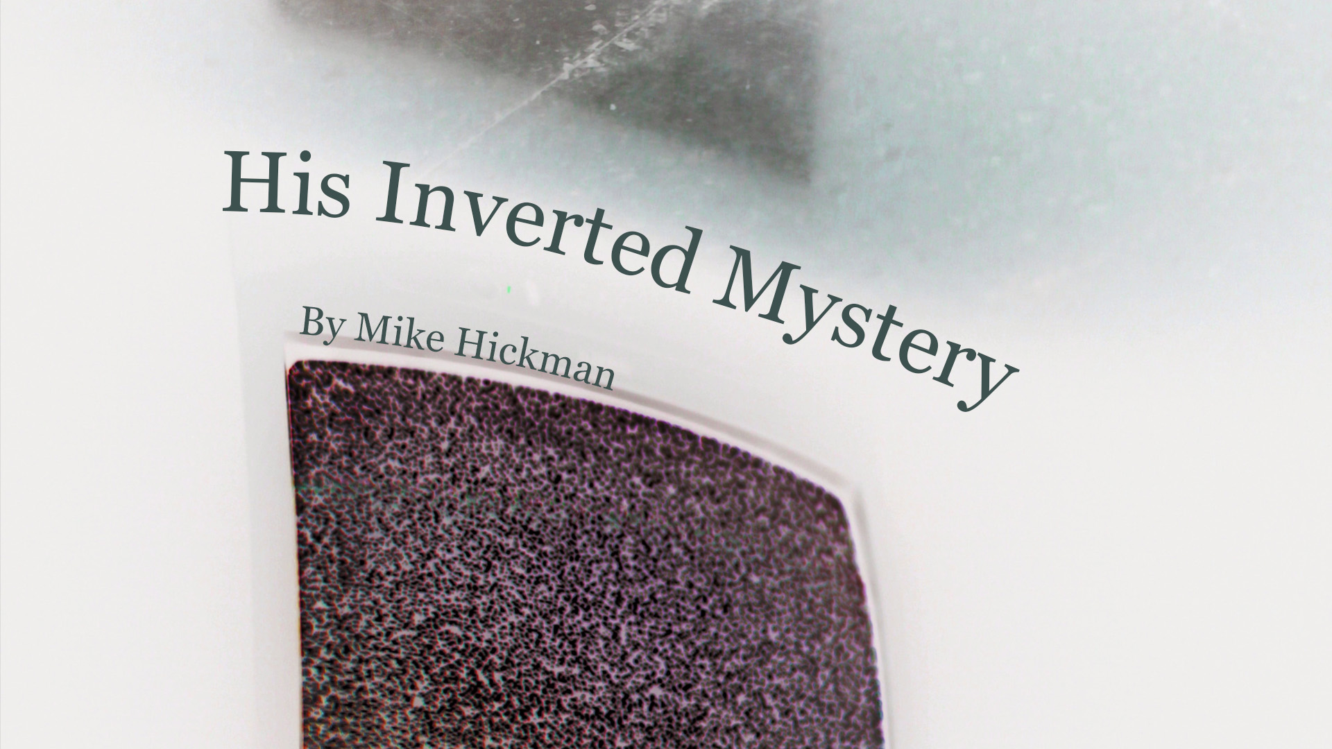 Monthly Features | Agapanthus Collective